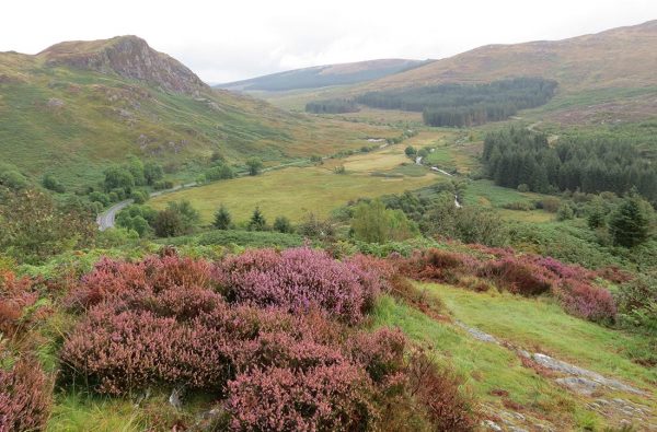 Galloway Forest Park - die BBC und Du - Reise-Mentoring für ...