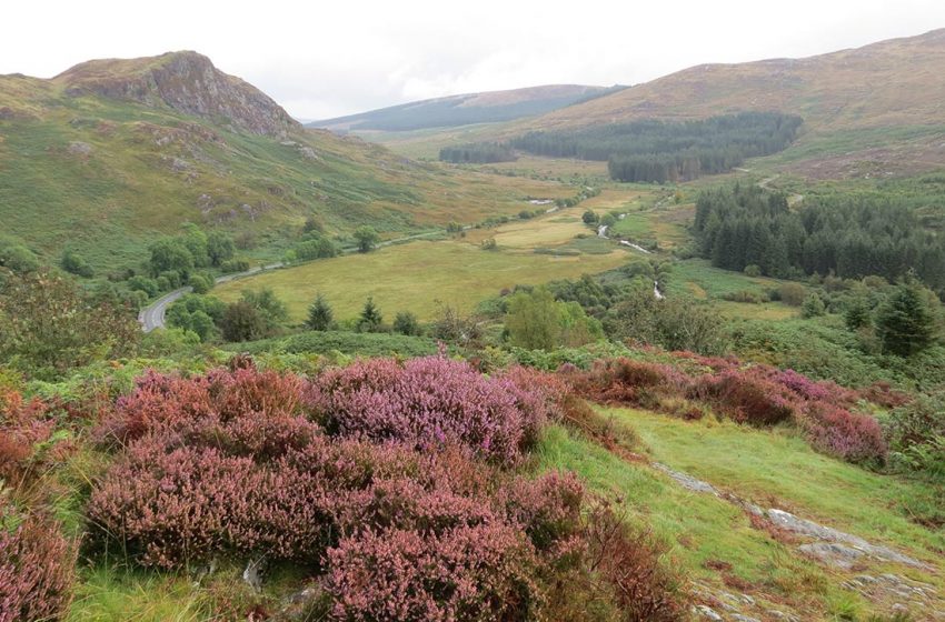 Galloway Forest Park - die BBC und Du - Reise-Mentoring für ...