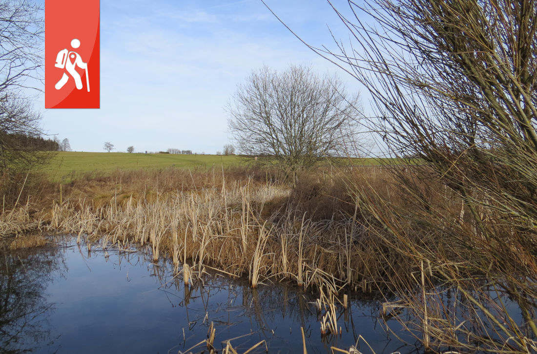 Schopflocher Moor – Wanderung zum größten Hochmoor der Schwäbischen Alb ...